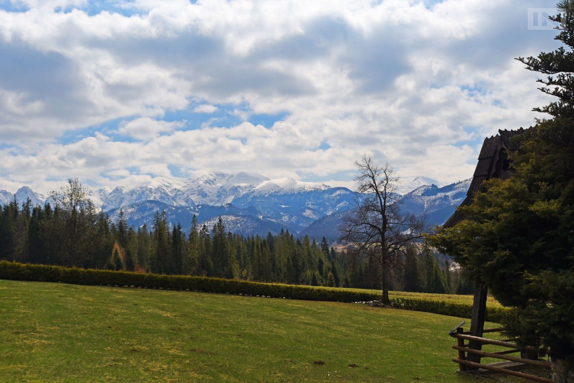 Krakowscy naukowcy alarmują w sprawie kozic: najgorszy wynik od lat